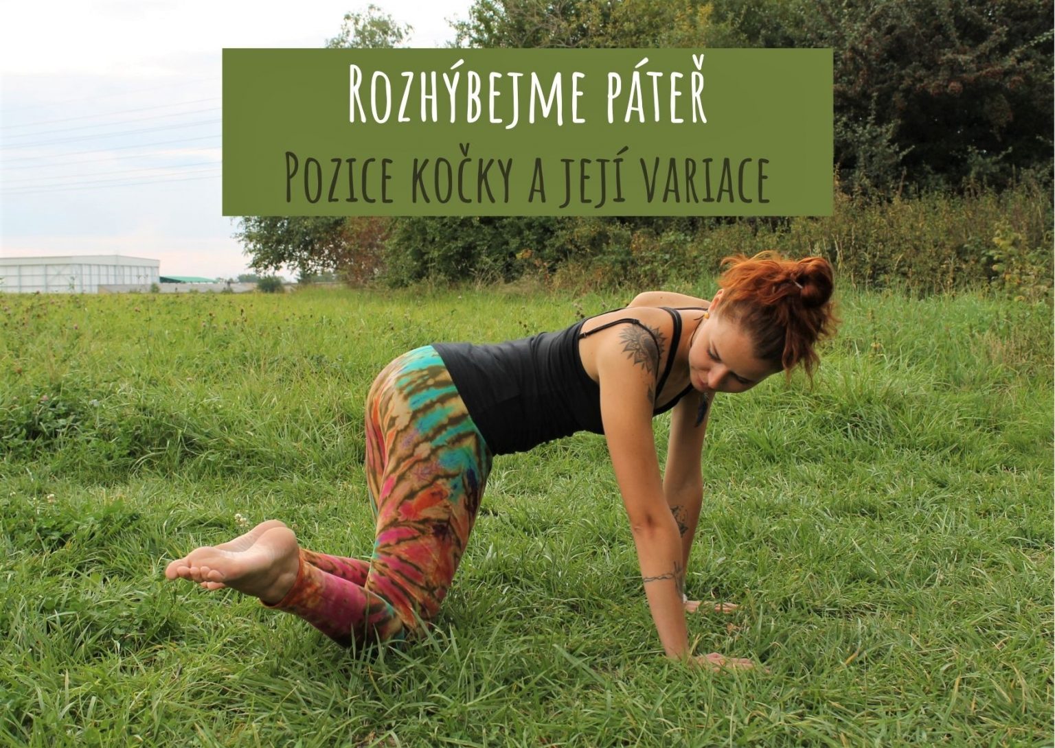 pozice kočky - Spojuje nás jóga